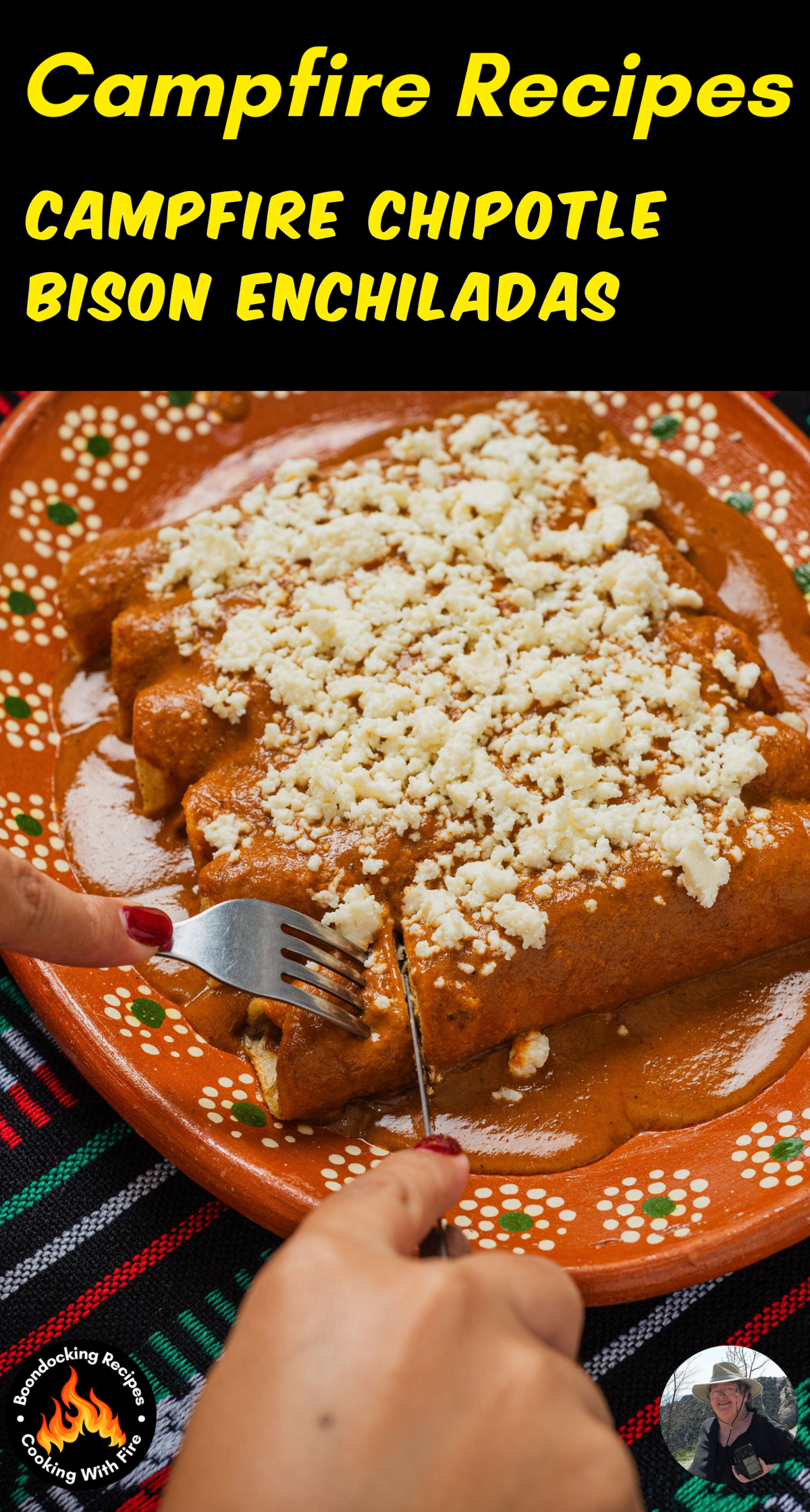 Easy Chipotle Bison Enchiladas Recipe