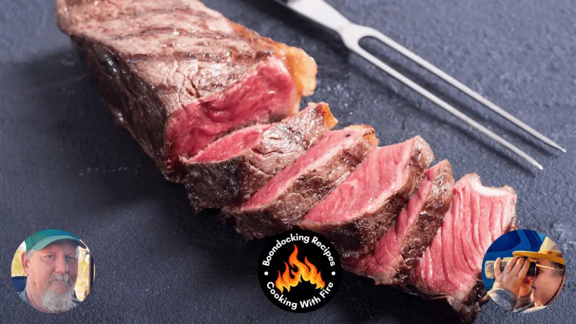 13 Best Bison Cast Iron Bison Recipes