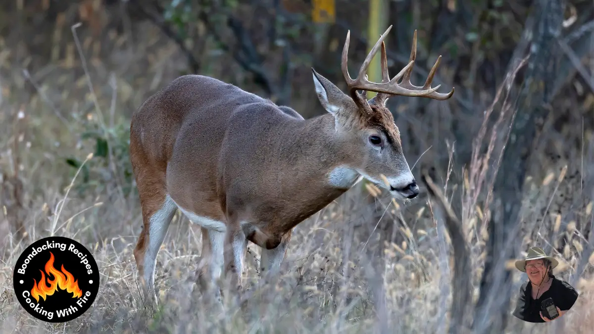 Slow Cooker Recipes for Venison Backstrap