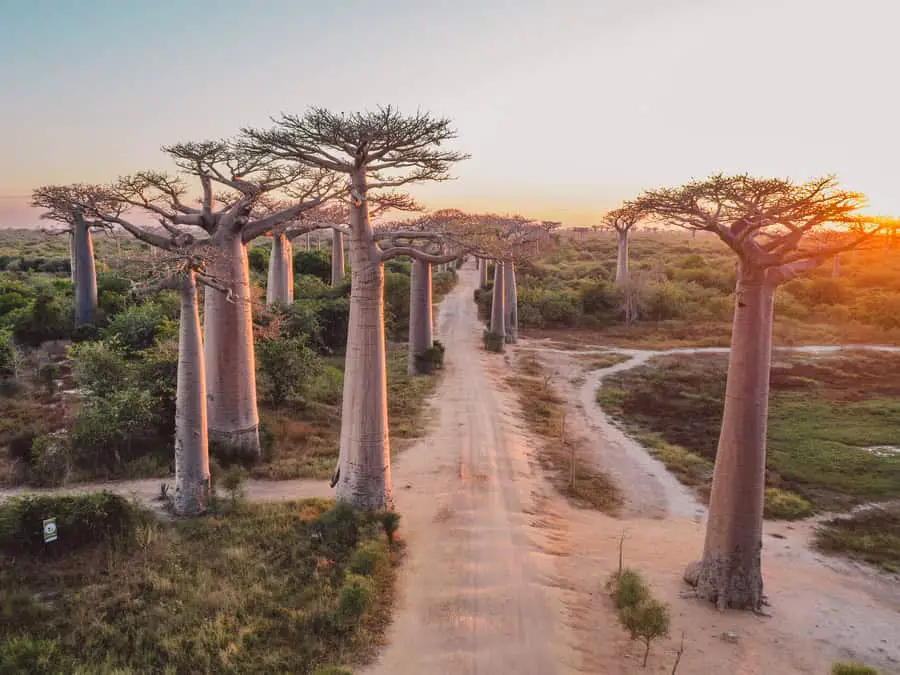 28 Easy Authentic Madagascar Recipes