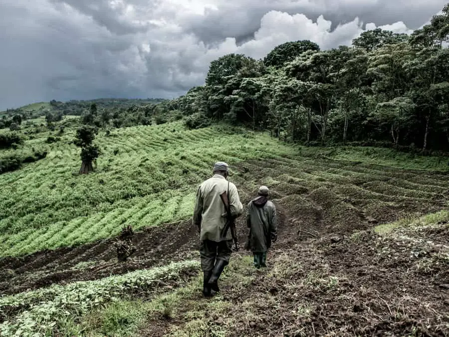 14 Best Congolese Recipes